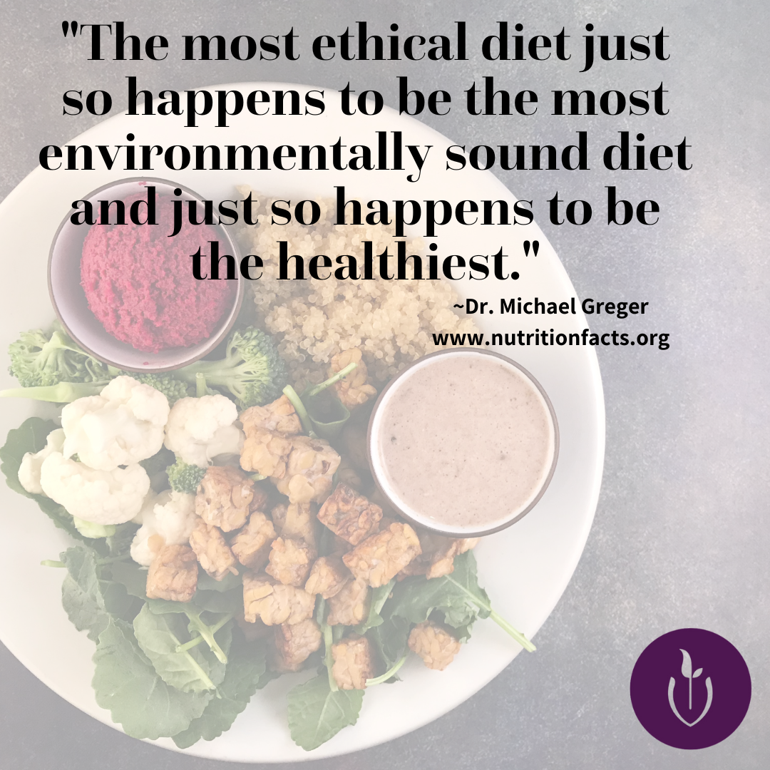 19 Vegan Quotes [quotations that make you think] - VegInspired